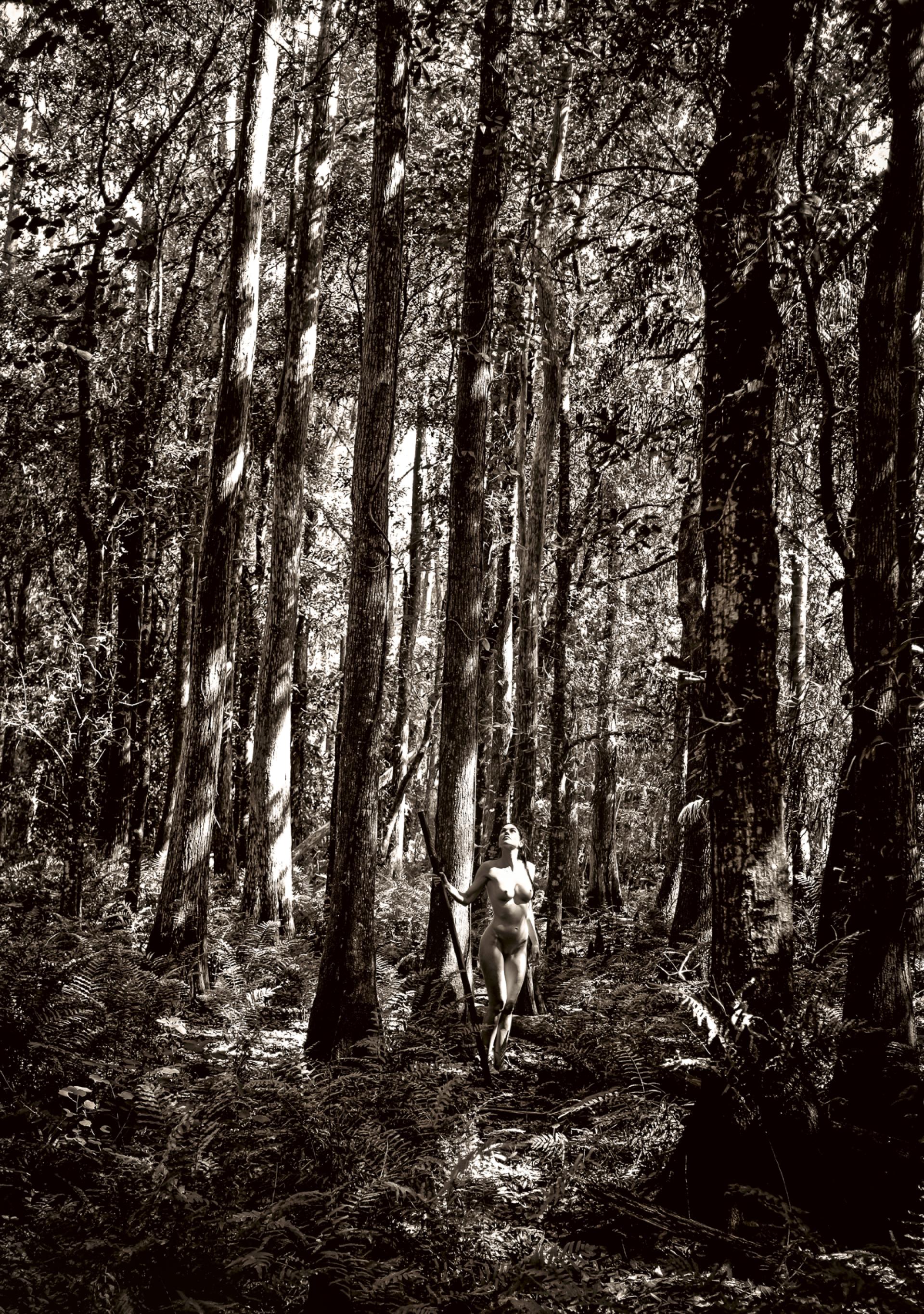 Anima Sylvarum Black White Photography Winner MUSE Photography Awards Anima Sylvarum Black White Photography Winner MUSE Photography Awards